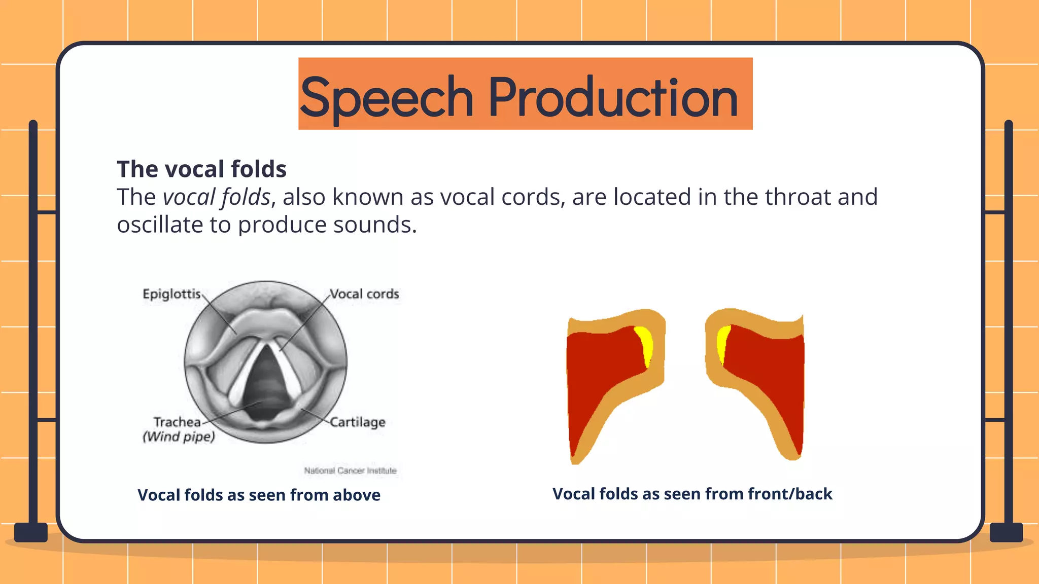 SPEECH SIGNALS.pptx