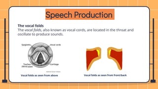 SPEECH SIGNALS.pptx