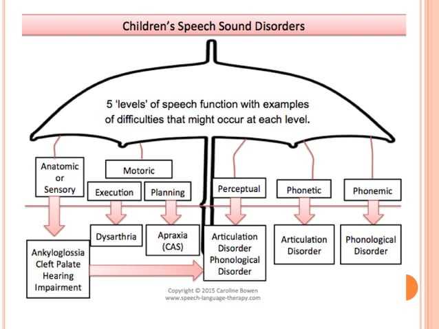 Speech sound disorders | PDF | Brain and Nervous System Disorders ...