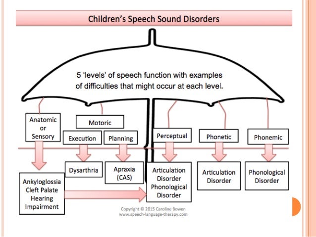 Speech sound disorders