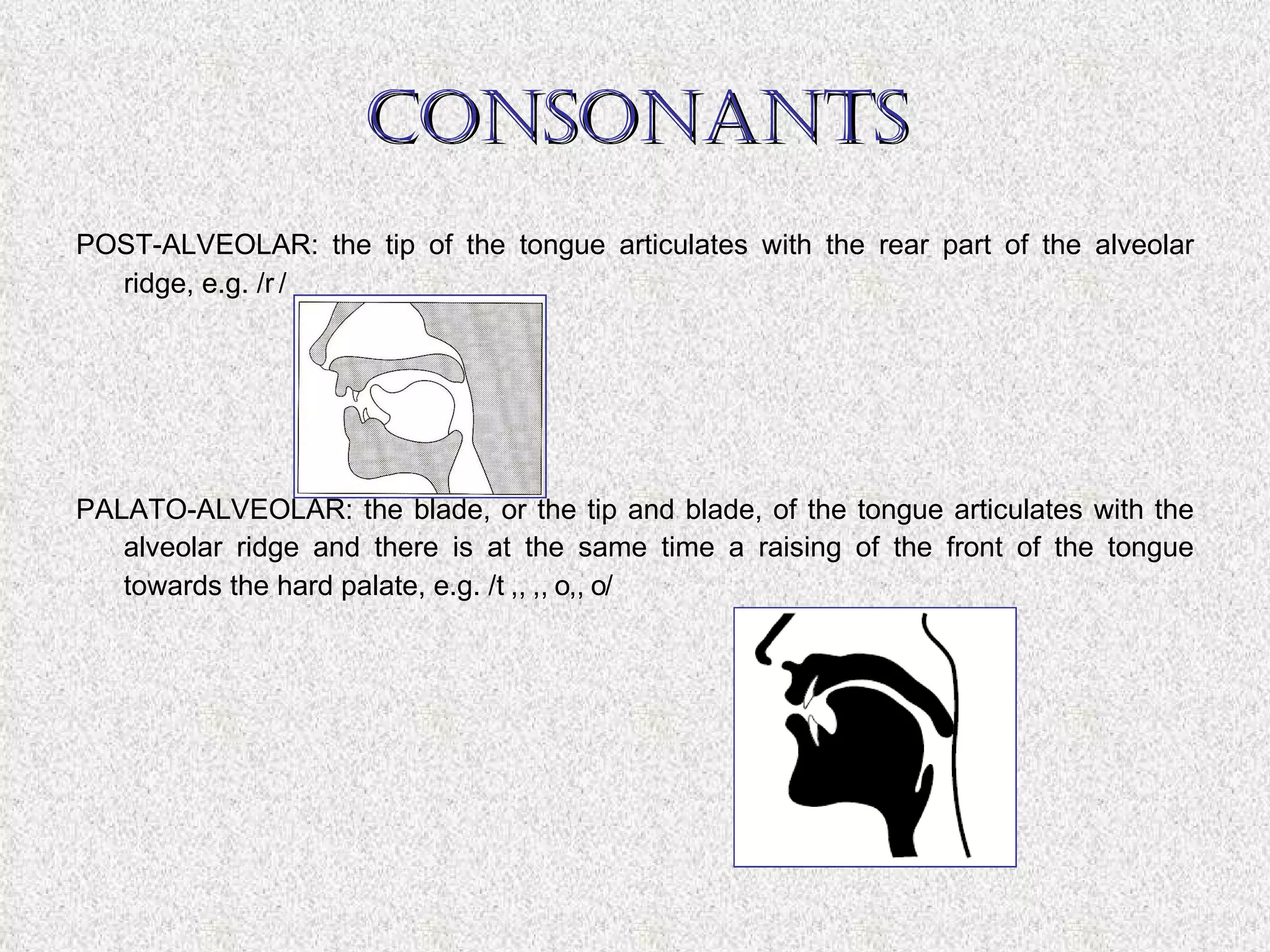Speech sounds | PPT
