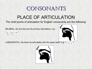 Speech sounds introduction | PPT