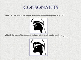 Speech sounds introduction | PPT