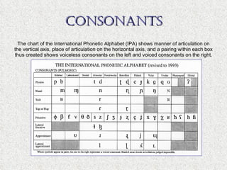 Speech sounds introduction | PPT