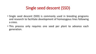 Speed breeding.pptx