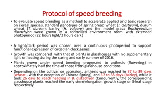Speed breeding.pptx