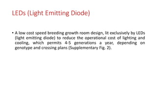 Speed breeding.pptx