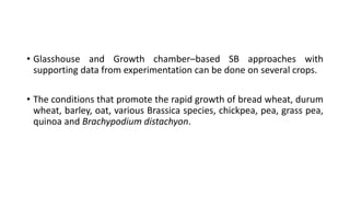 Speed breeding.pptx