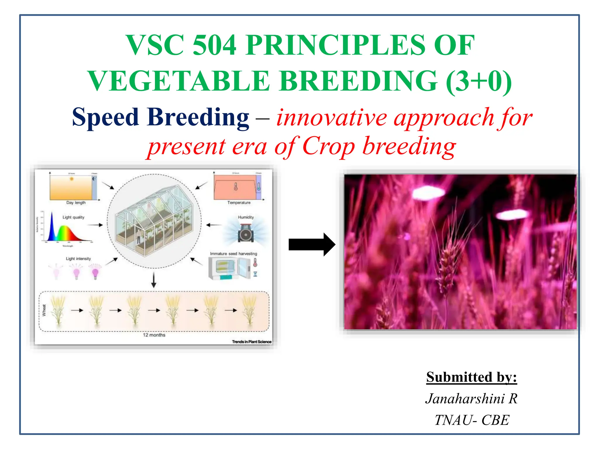 Speed Breeding in Vegetable Crops- innovative approach for present era ...