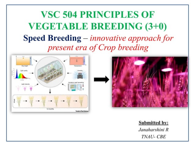 Speed Breeding in Vegetable Crops- innovative approach for present era ...
