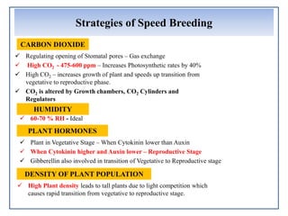 Speed Breeding in Vegetable Crops- innovative approach for present era ...