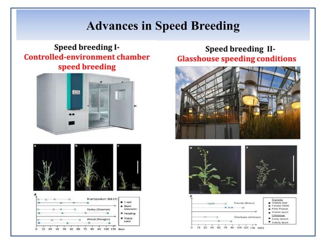 Speed Breeding in Vegetable Crops- innovative approach for present era ...