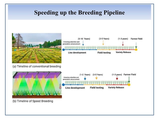 Speed Breeding in Vegetable Crops- innovative approach for present era ...