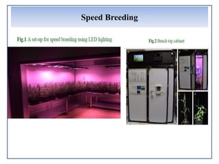 Speed Breeding in Vegetable Crops- innovative approach for present era ...