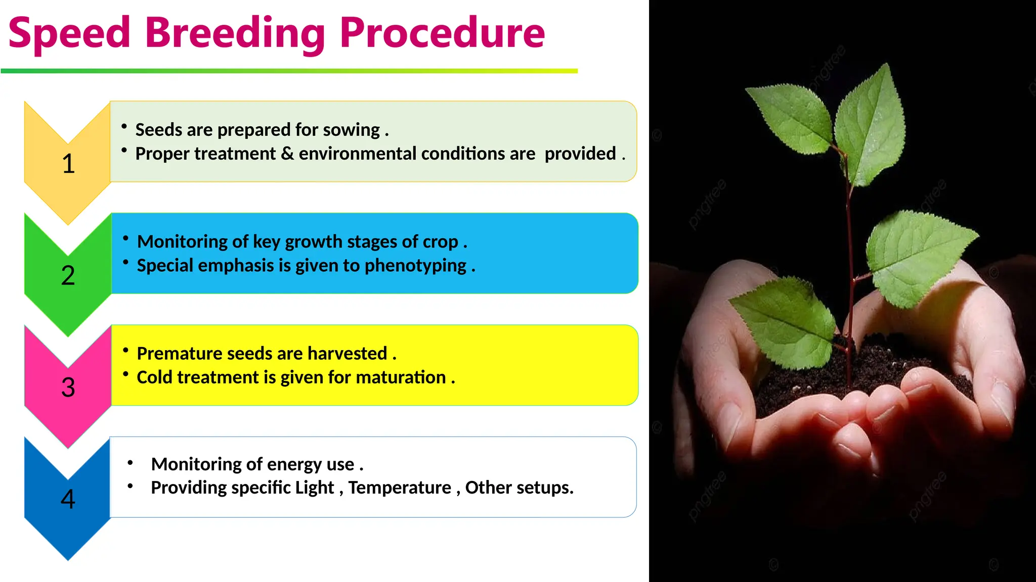 SPEED BREEDING AND IT'S IMPACT ON FUTURE AGRICULTURAL PRACTICES | PPTX