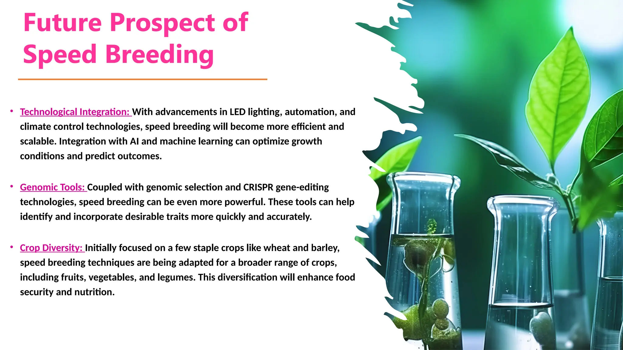 SPEED BREEDING AND IT'S IMPACT ON FUTURE AGRICULTURAL PRACTICES | PPTX