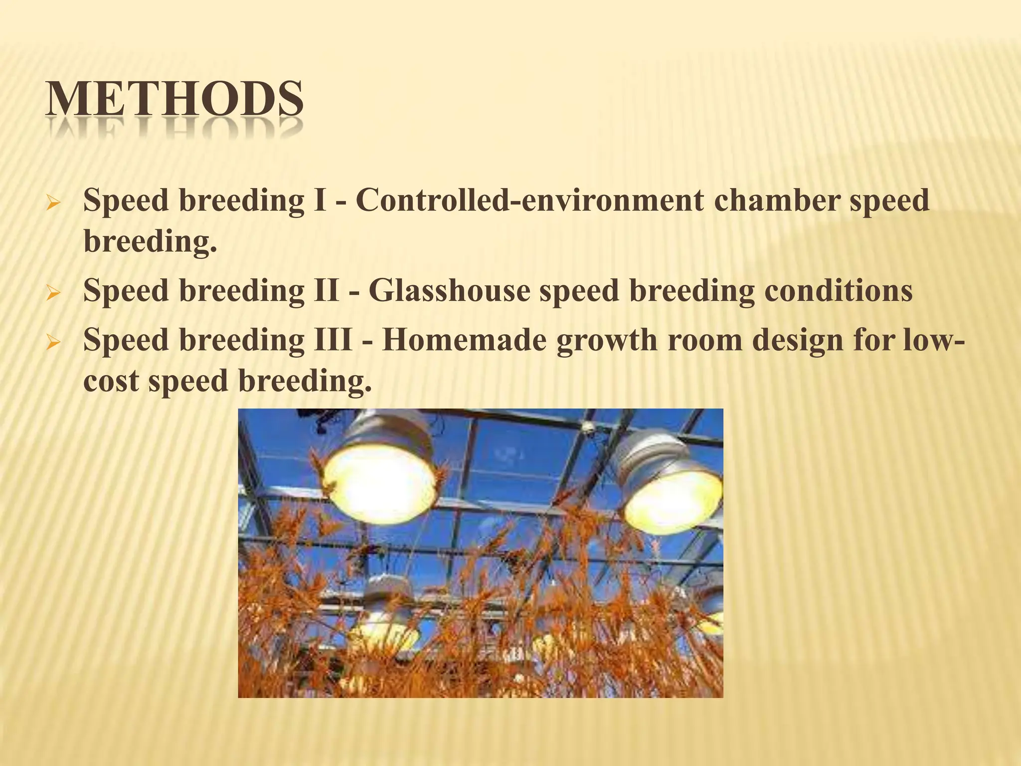 Speed breeding FOR CROP IMPROVEMENT PPT..pptx