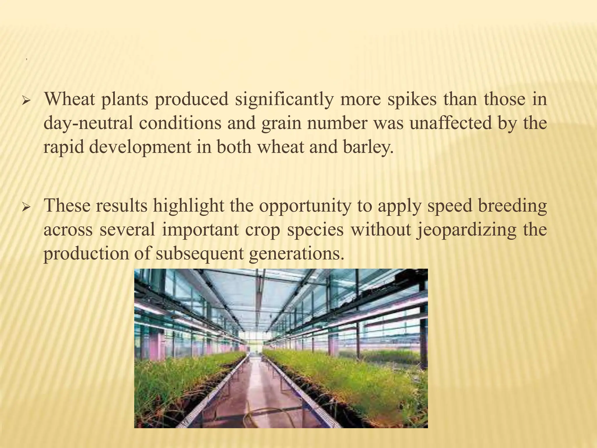 Speed breeding FOR CROP IMPROVEMENT PPT..pptx