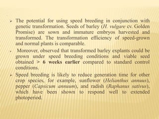 Speed breeding FOR CROP IMPROVEMENT PPT..pptx