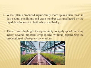 Speed breeding FOR CROP IMPROVEMENT PPT..pptx