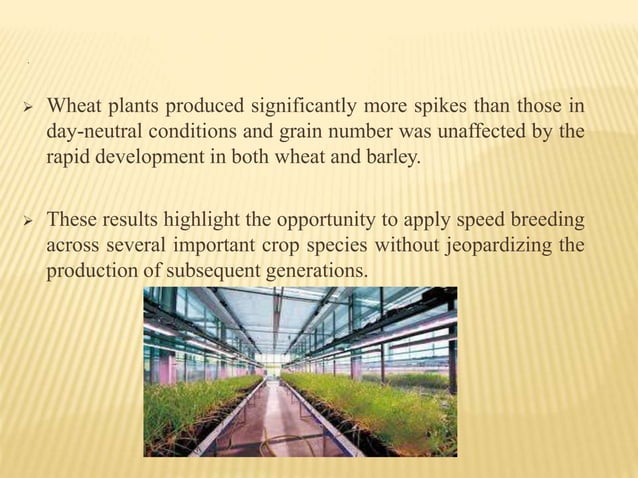 Speed breeding FOR CROP IMPROVEMENT PPT..pptx | Gardening | Home & Garden