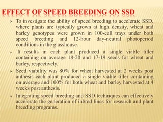 Speed breeding FOR CROP IMPROVEMENT PPT..pptx