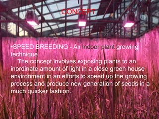 Speed breeding.pptx
