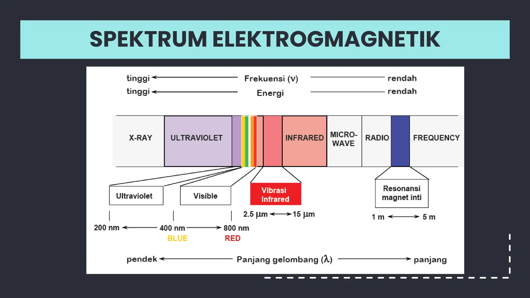 Spektrofotometer merupakan alat yang digunakan untuk mengukur ...
