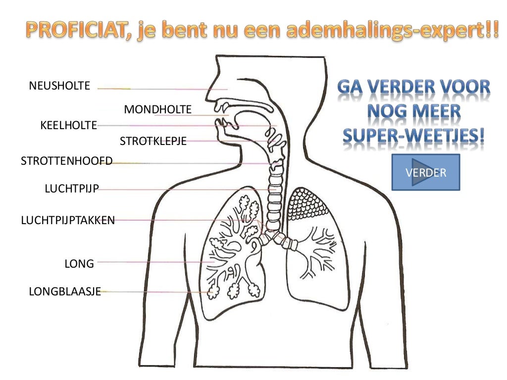 Spel ademhalingsstelsel