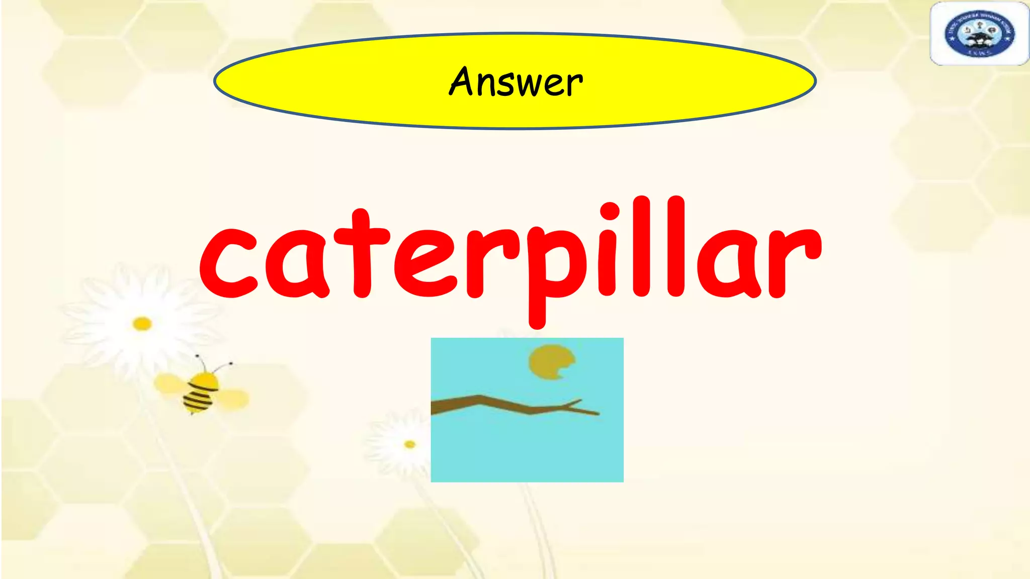 Spell Bee- Grade-1 Latest.pptx