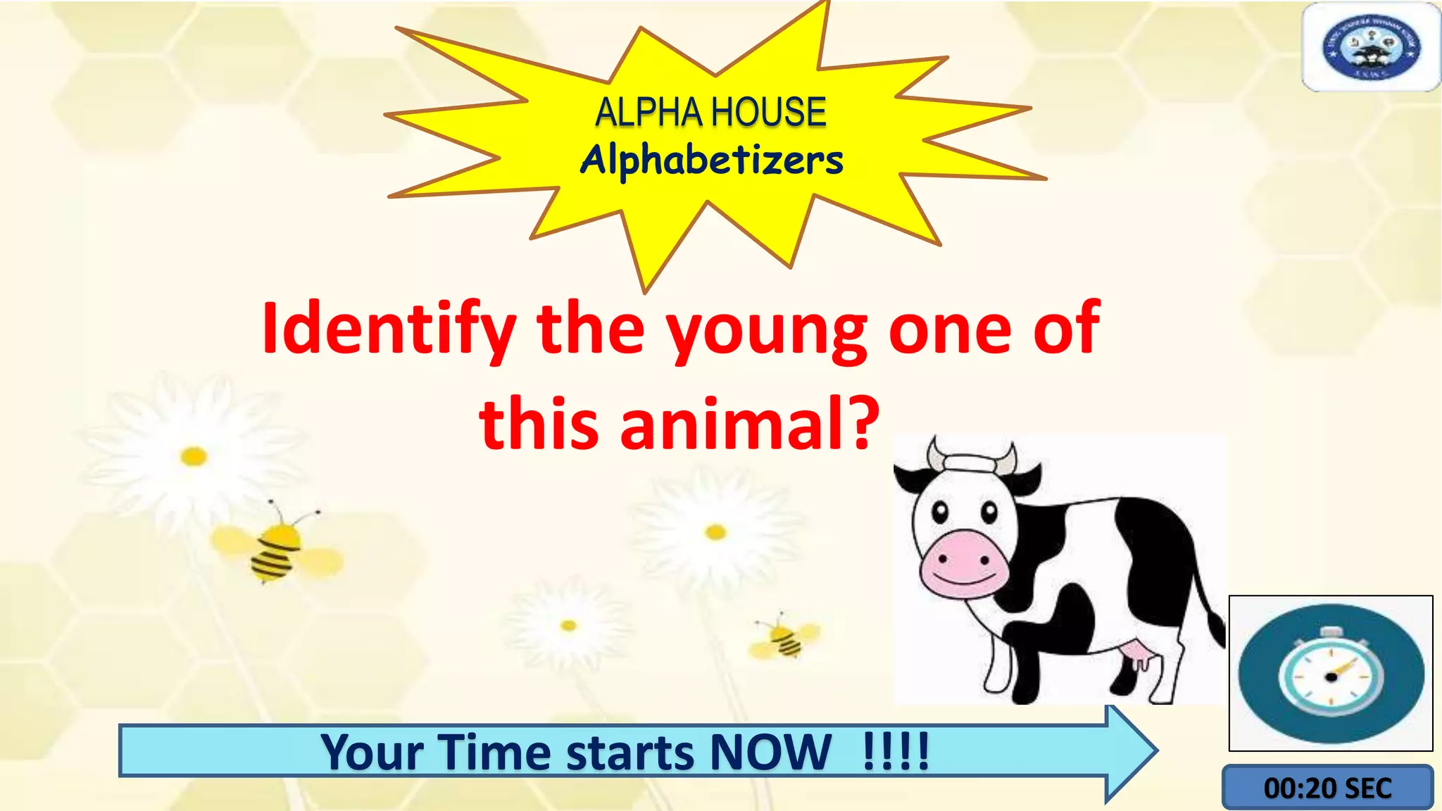 Spell Bee- Grade-1 Latest.pptx