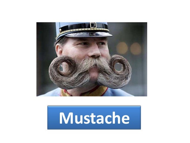 Moustache Pronunciation