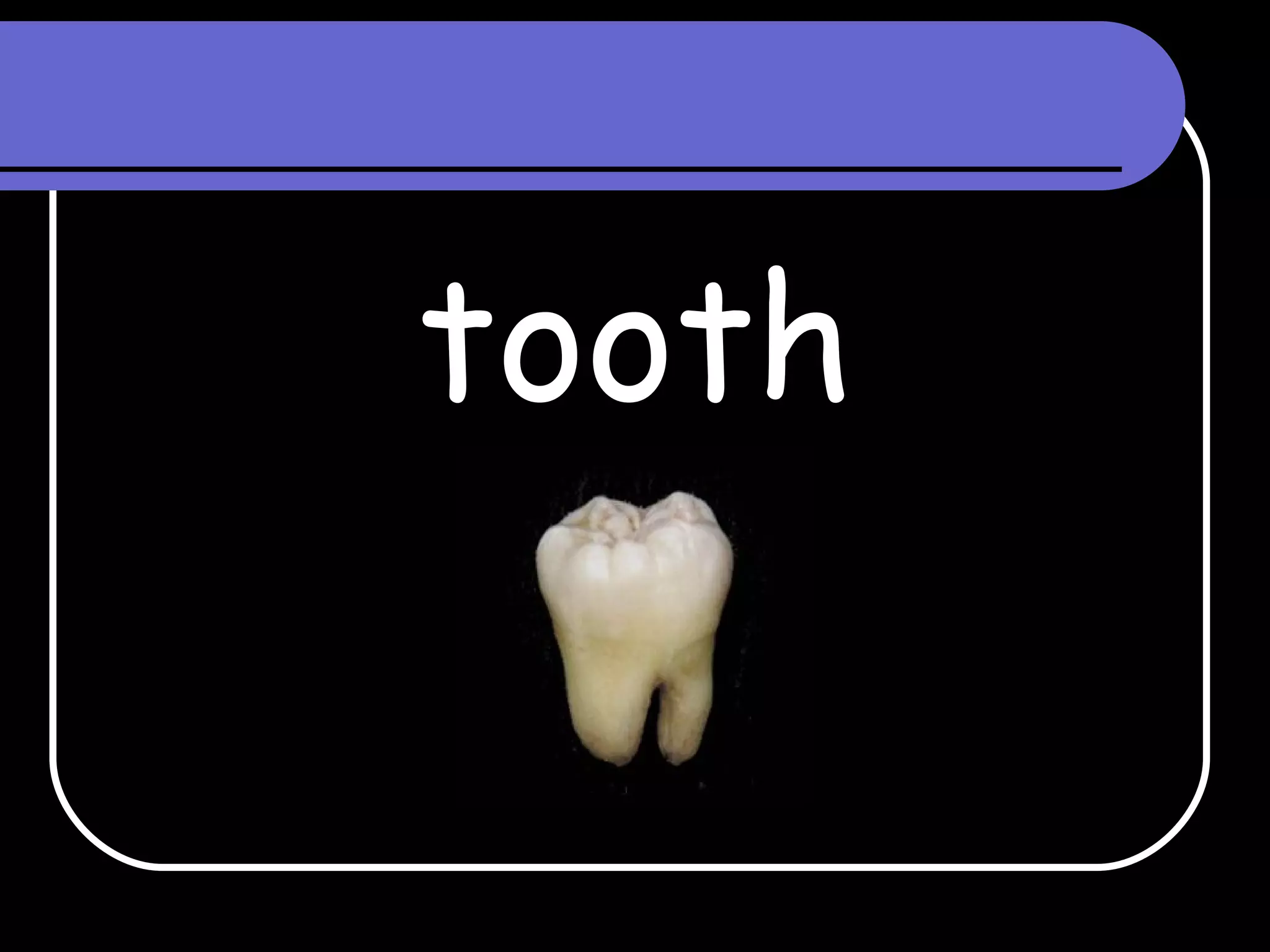 Spelling irregular plurals | PPT