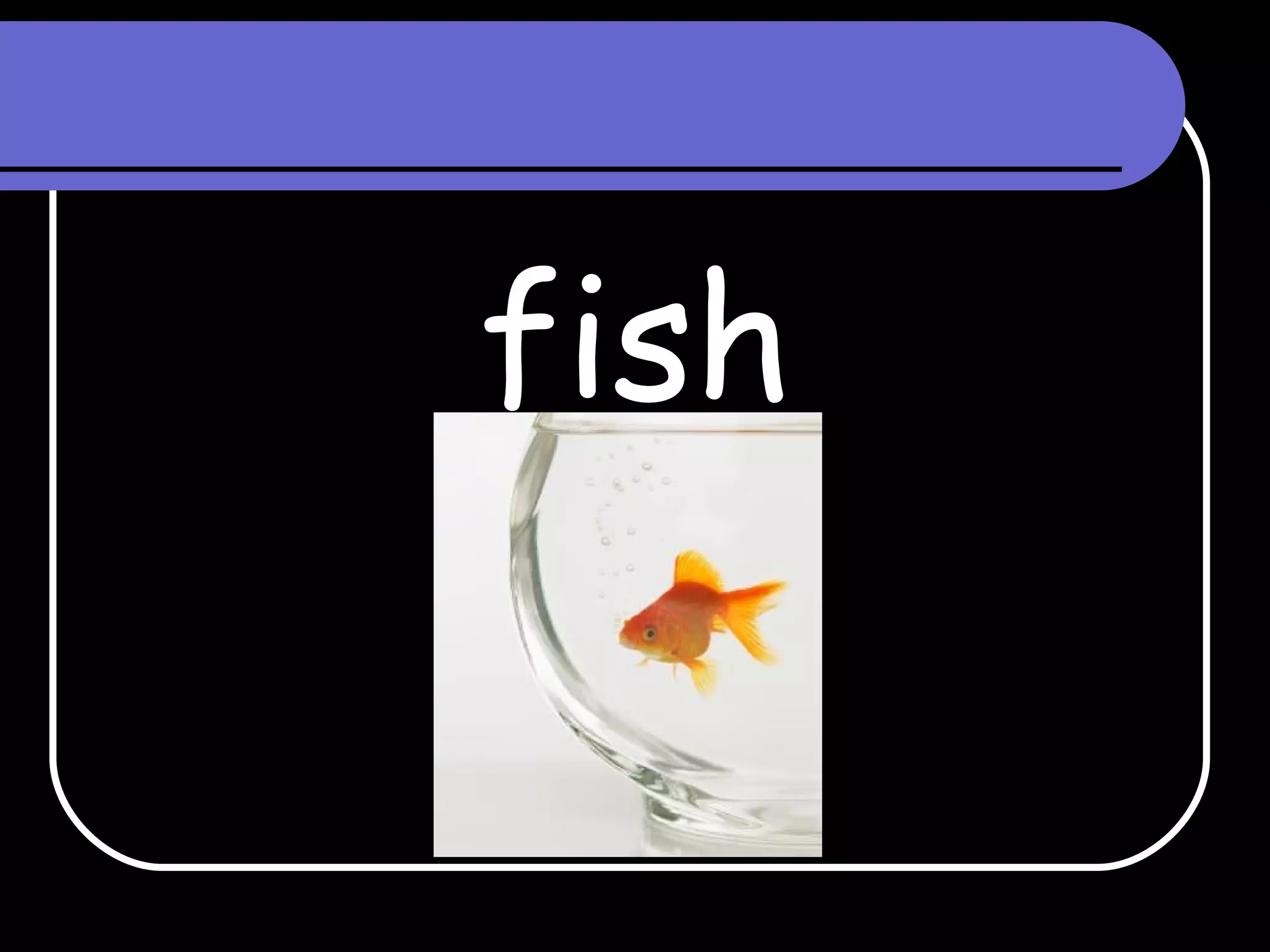 Spelling irregular plurals | PPT