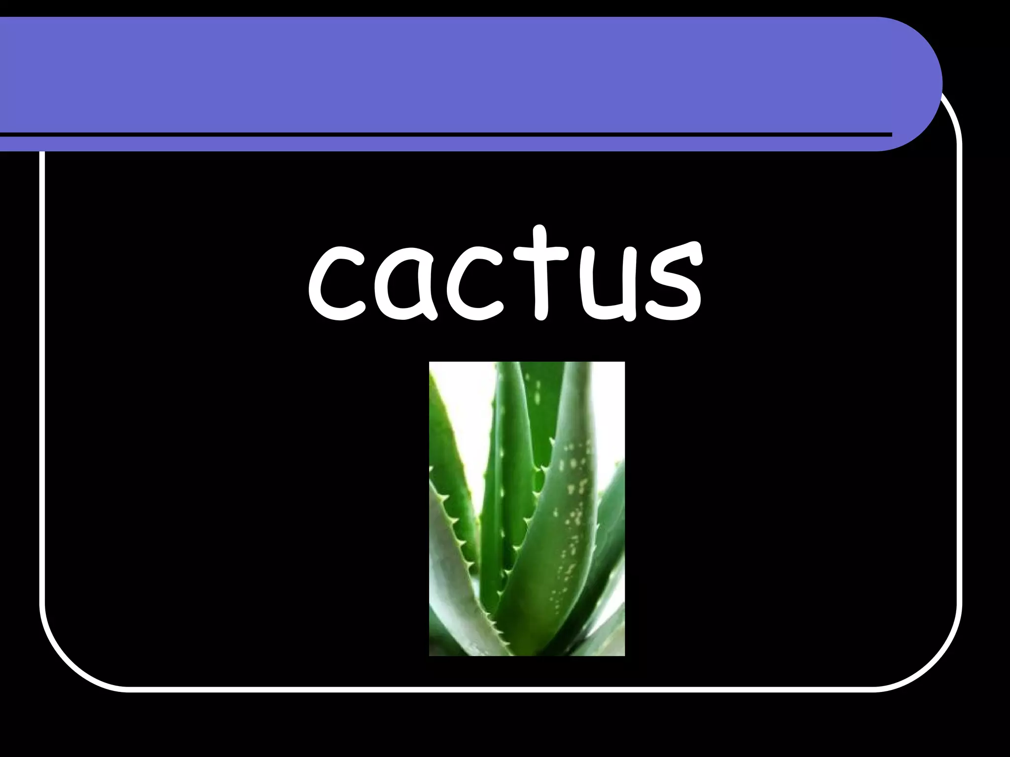 Spelling irregular plurals | PPT