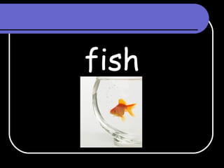 Spelling irregular plurals | PPT