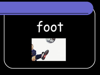 Spelling irregular plurals | PPT