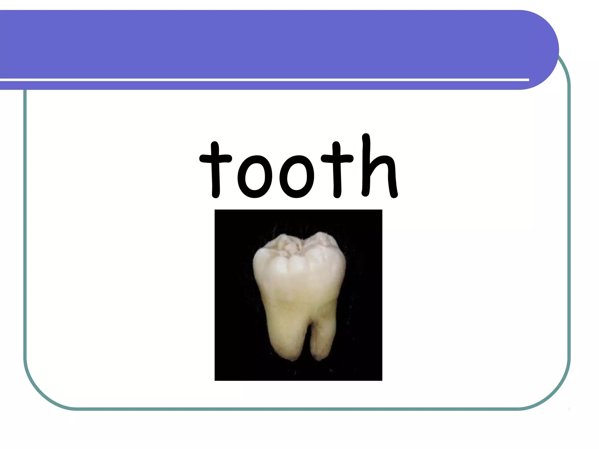Spelling irregular plurals | PPT