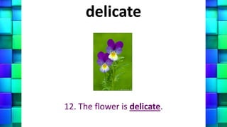 Spelling list l17 6th grade | PPTX