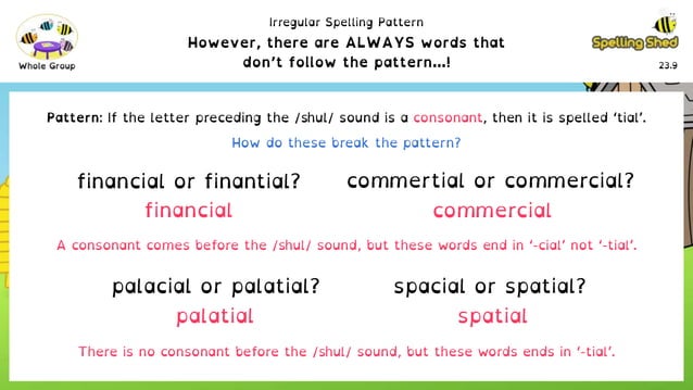 Spellings - words with tial and cial endings .pptx