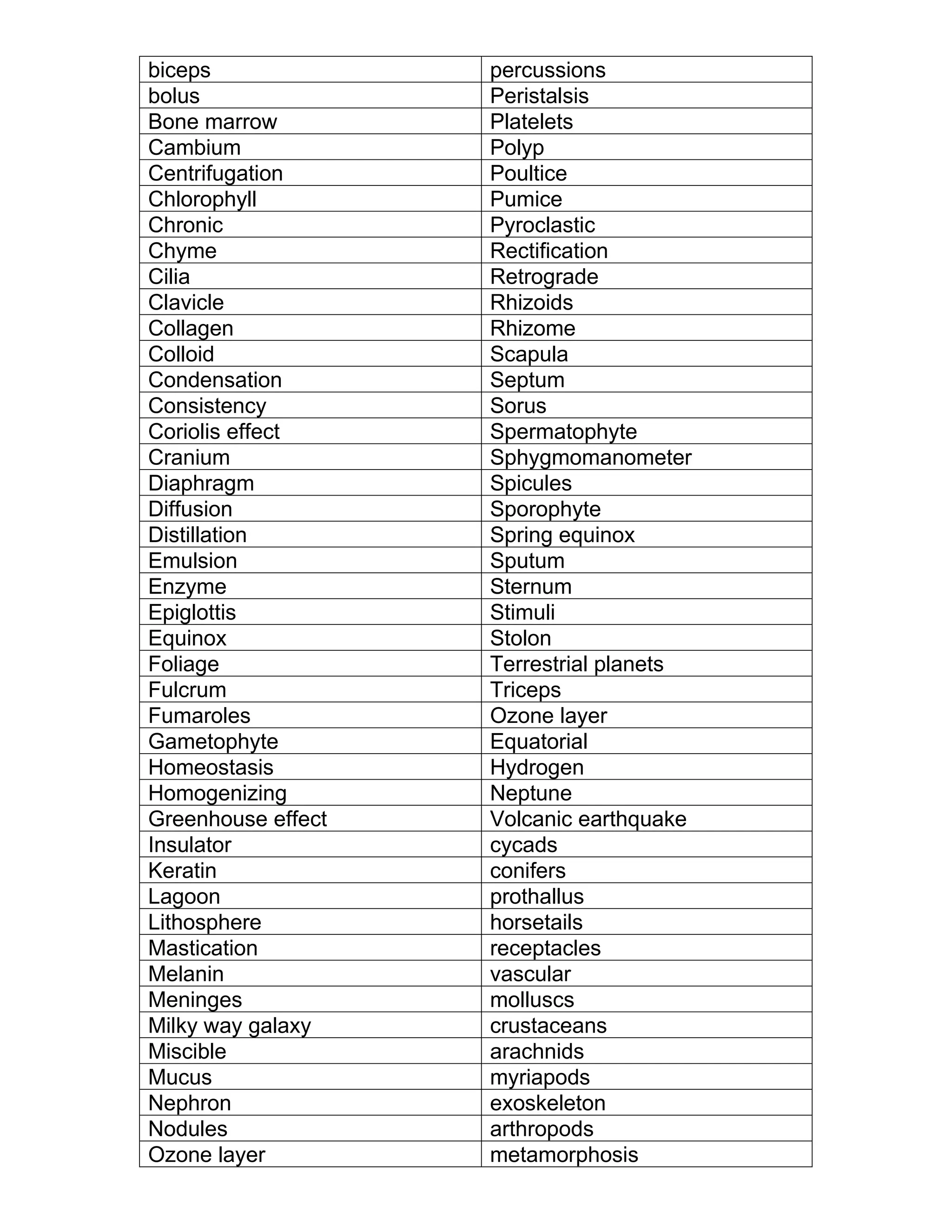 Science 5 Spelling Words Practice for spelling bee | DOCX