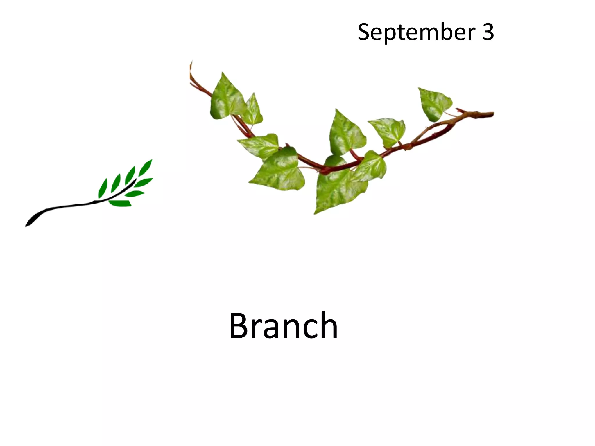 Spelling september | PPTX