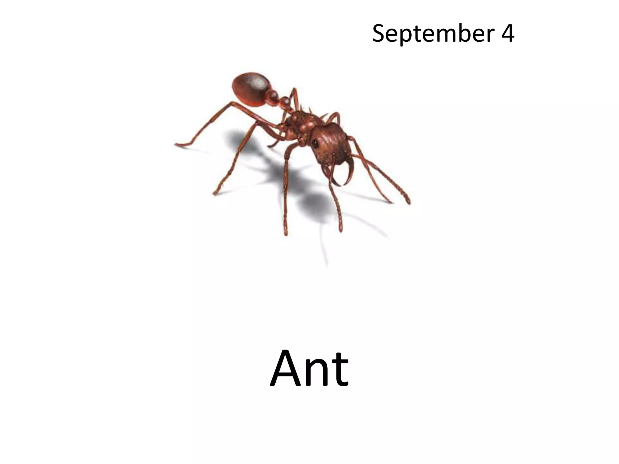 Spelling september | PPTX