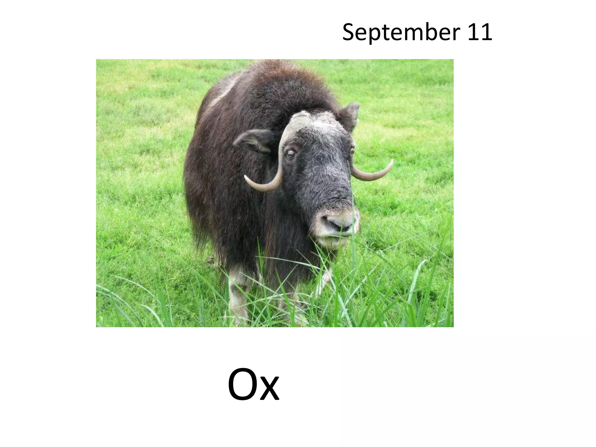 Spelling september | PPTX