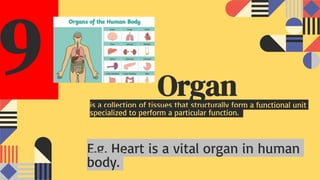 Spellings Wk 3 English CAPS CARES Please Practise | PPT
