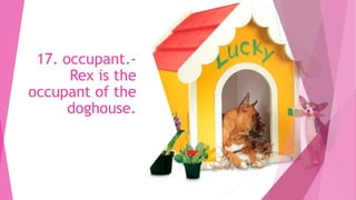 Spelling words lesson 16 | PPT