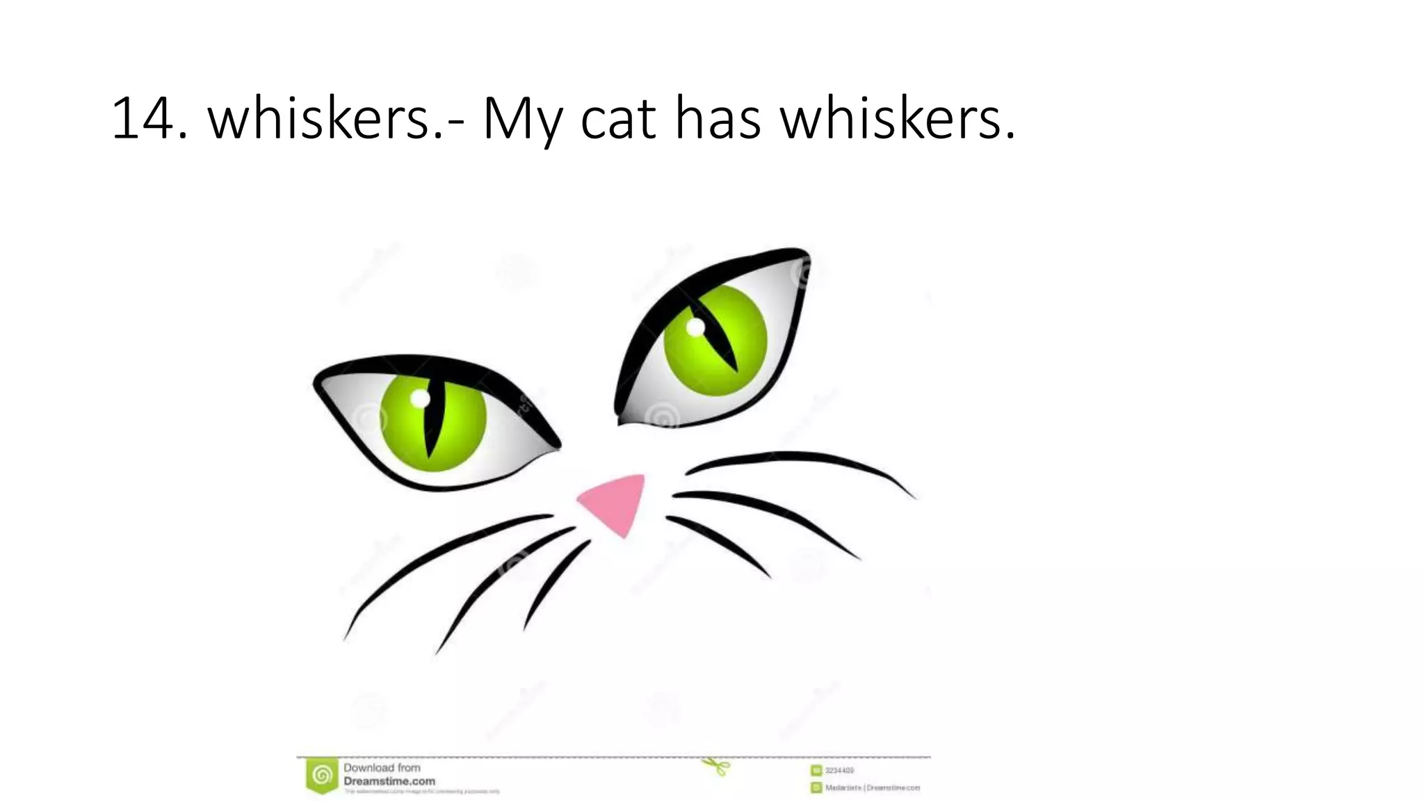 Spelling words lesson 23 | PPT