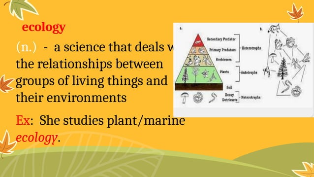 Spell Words with Greek Roots.pptxmklsnxska | PPTX