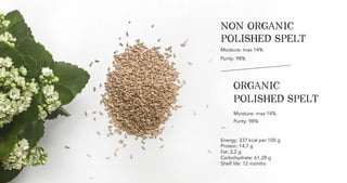 Spelt 2018 | PDF