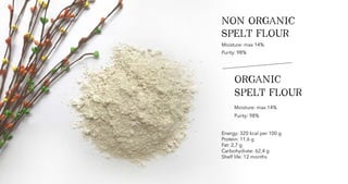 Spelt 2018 | PDF